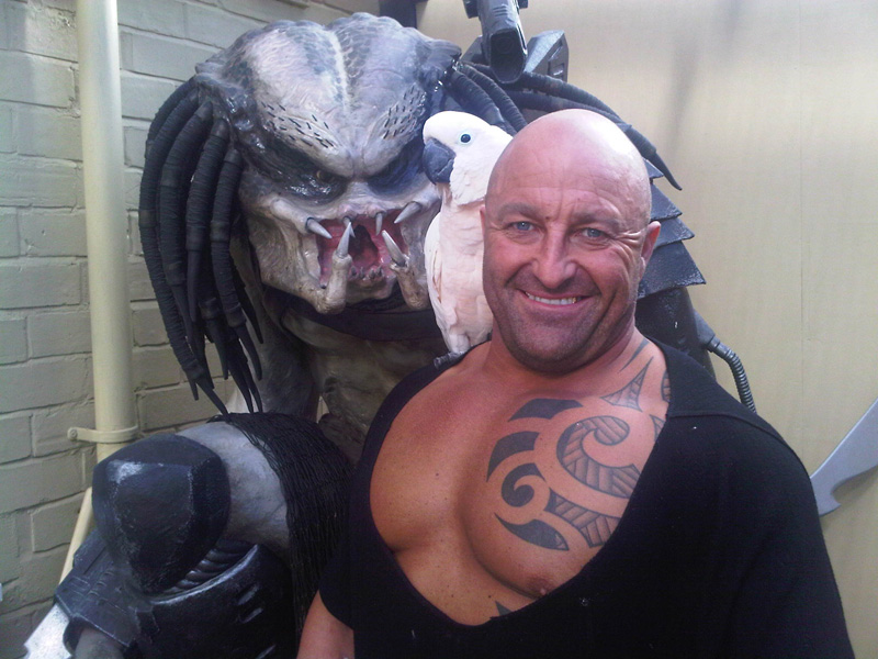 Jamie Manuel - Gallery Page - Birds and the Rest